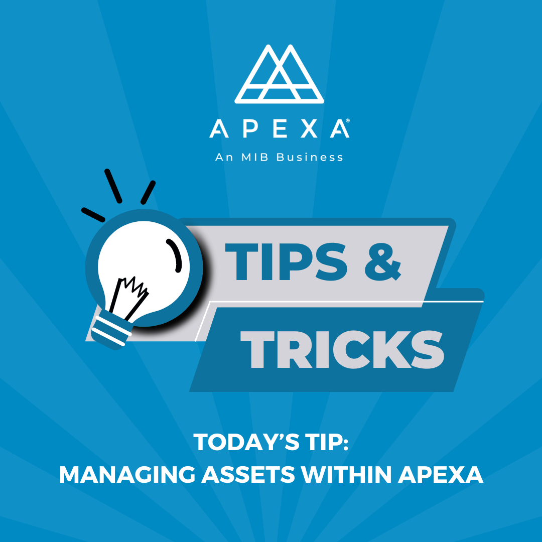 Managing Assets Within Apexa